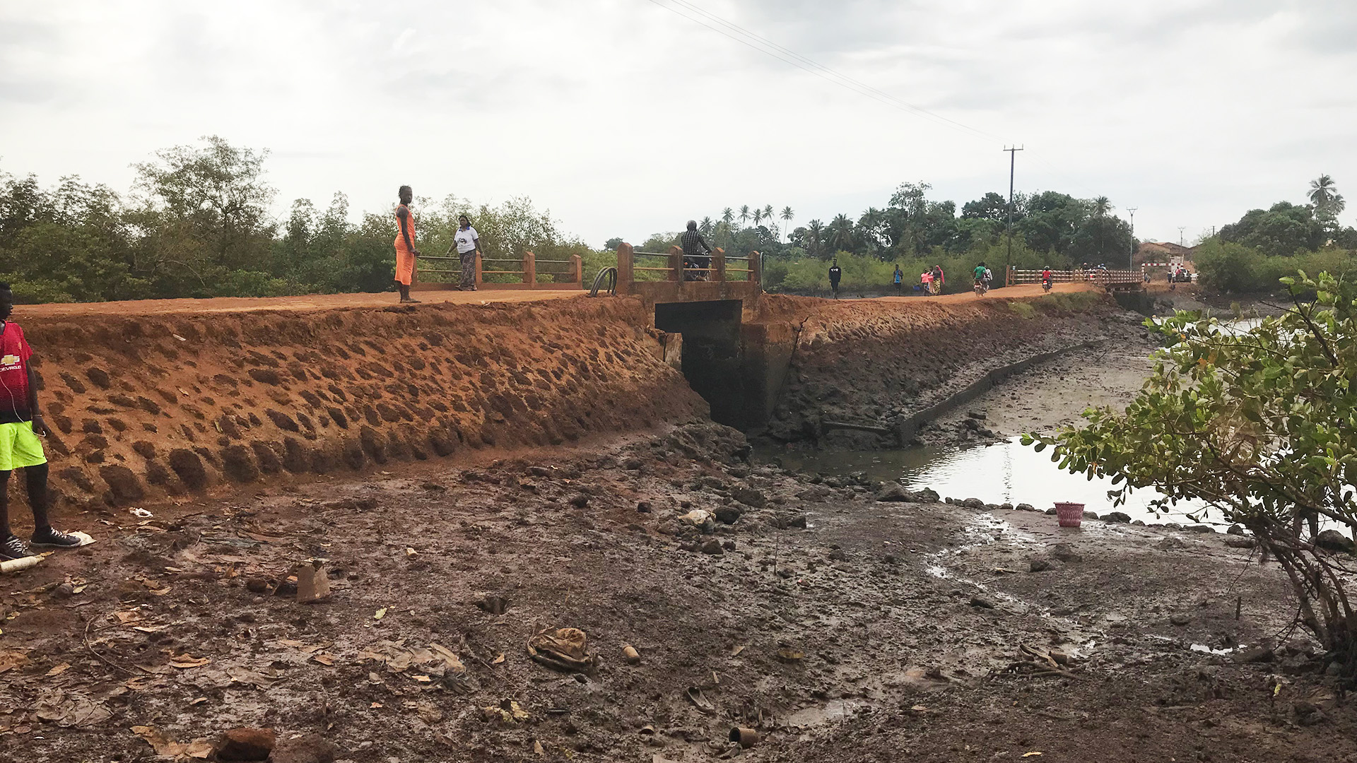 The Five Bridges project in Conakry, Guinea | Ballast Nedam
