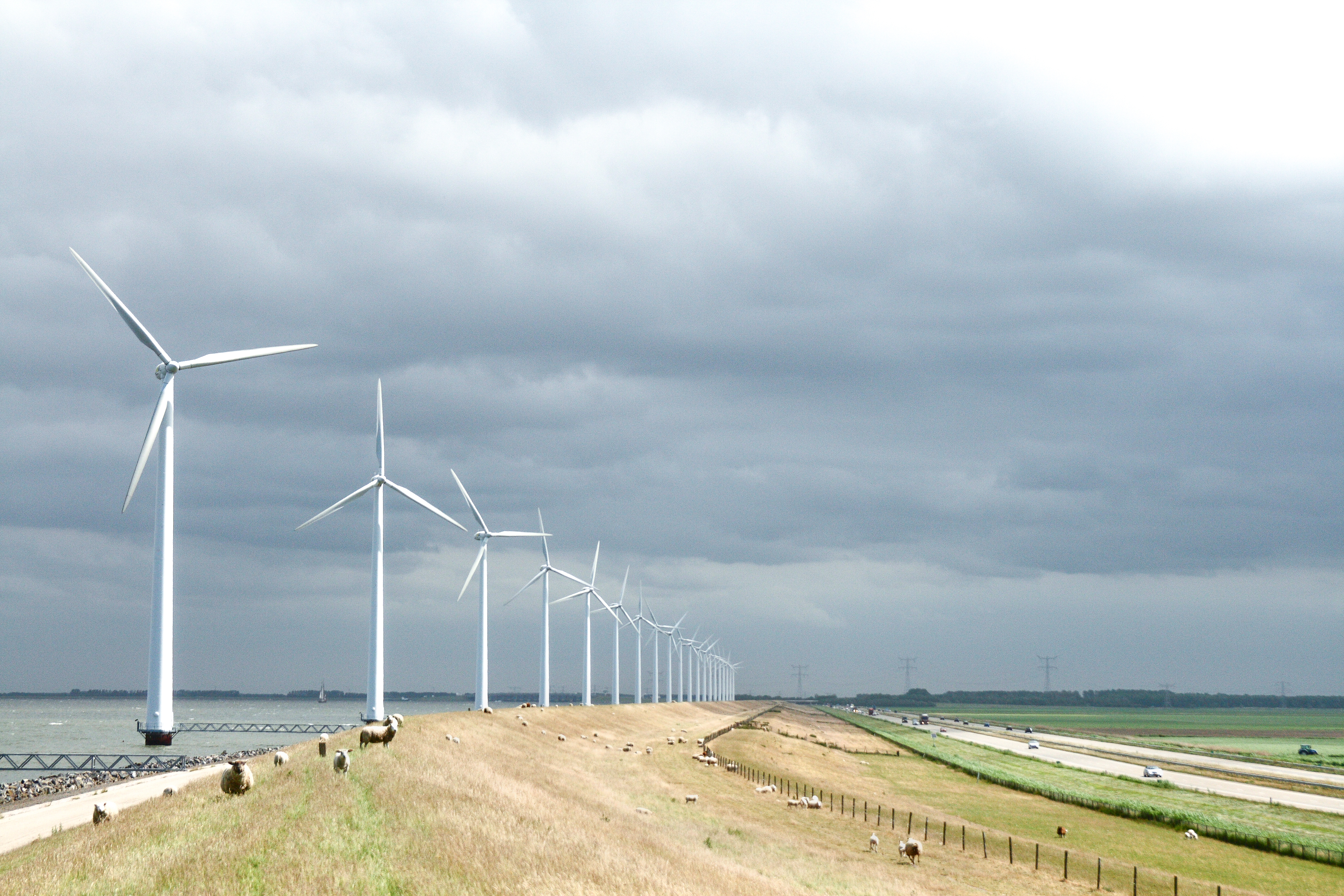 Home News Ballast Nedam contributes to Windplanblauw: 24 wind turbines ...